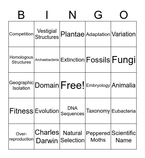 Evolution Bingo Card