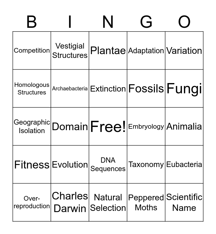 Evolution Bingo Card