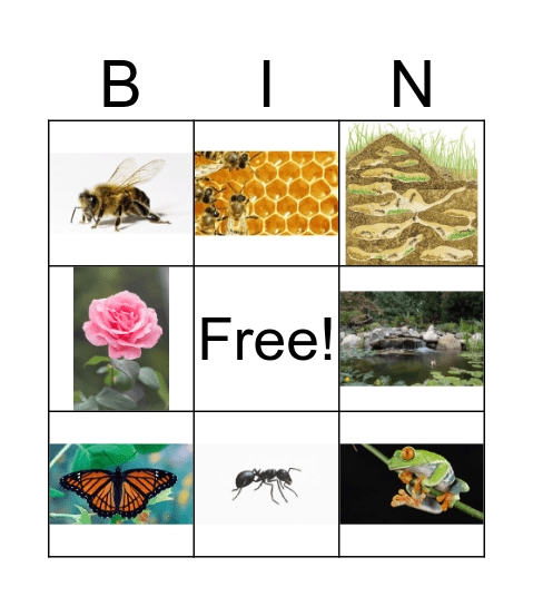 Spring Animals Bingo Card