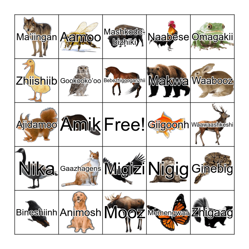 Ojibwe Animal Bingo Card