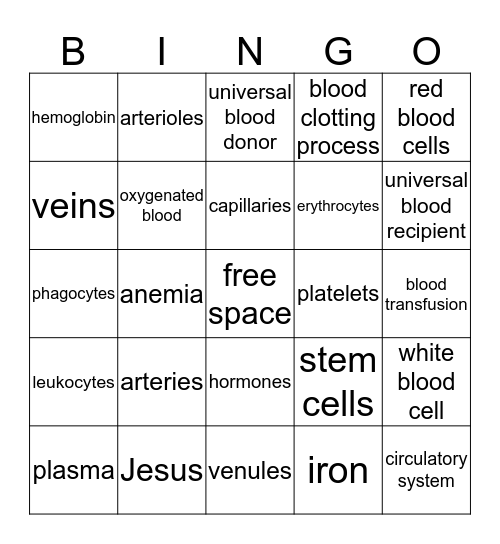 Circulatory System Bingo Card