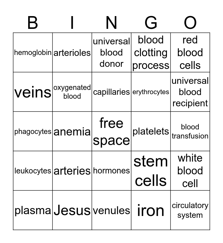 Circulatory System Bingo Card