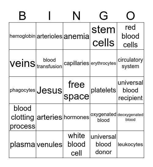 Circulatory System Bingo Card