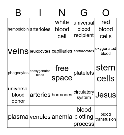 Circulatory System Bingo Card