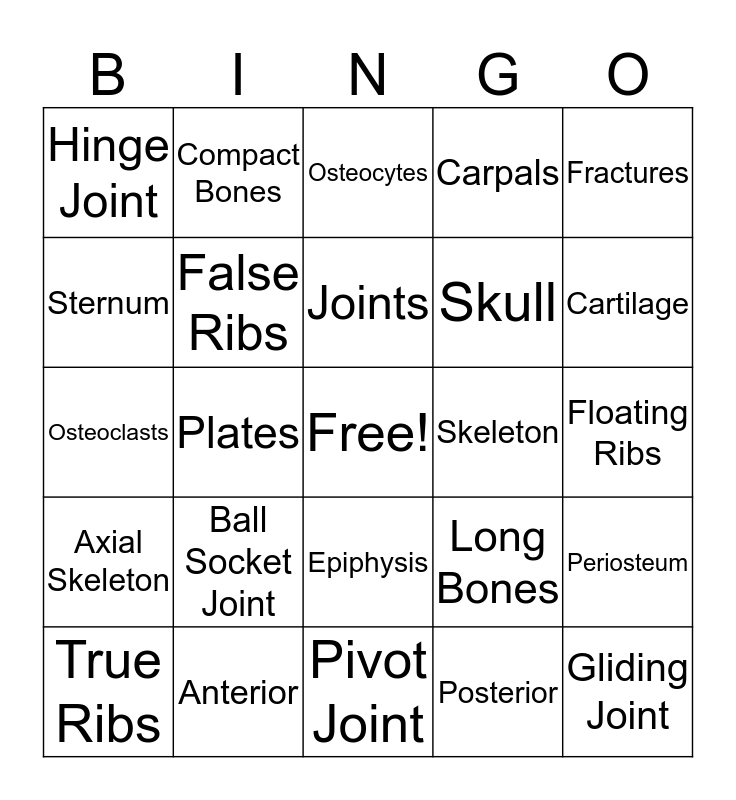 Skeletal System Bingo Card