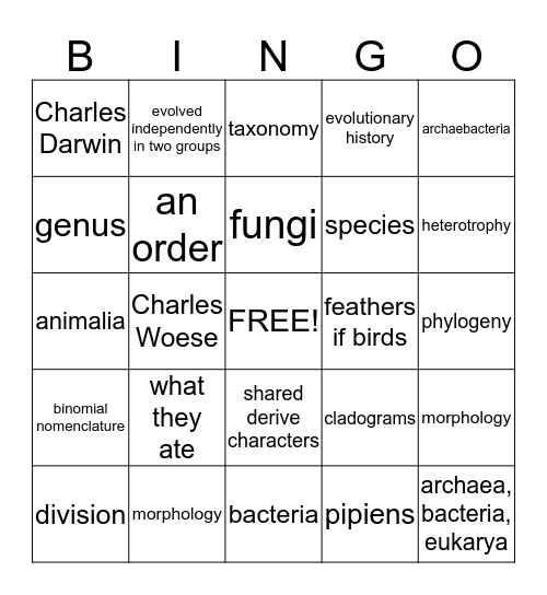Classification Bingo Card