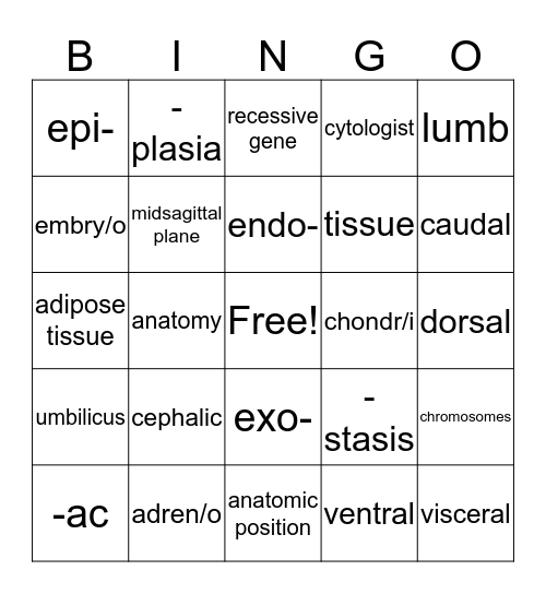Chapter 2 Bingo Card
