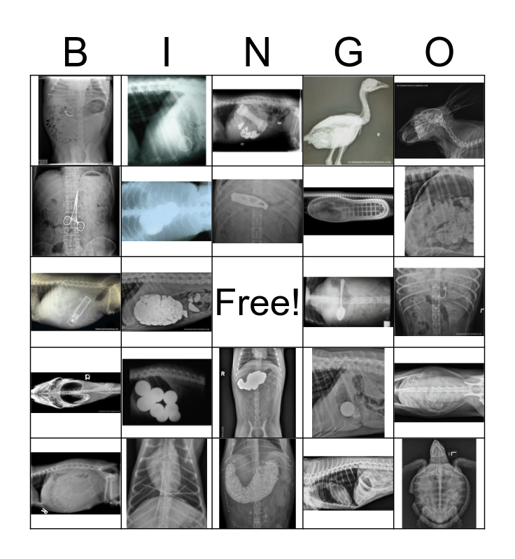 Foreign Body Radiograph Bingo Card
