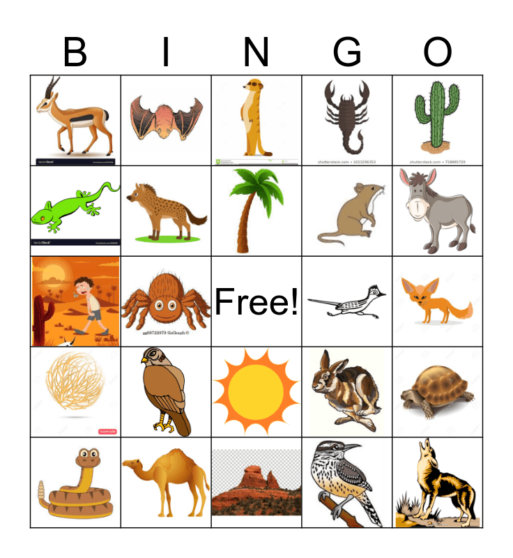 Desert Bingo Card