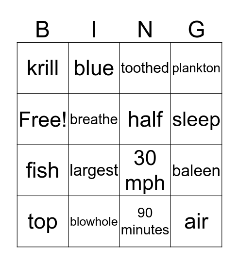 Whales Bingo Card