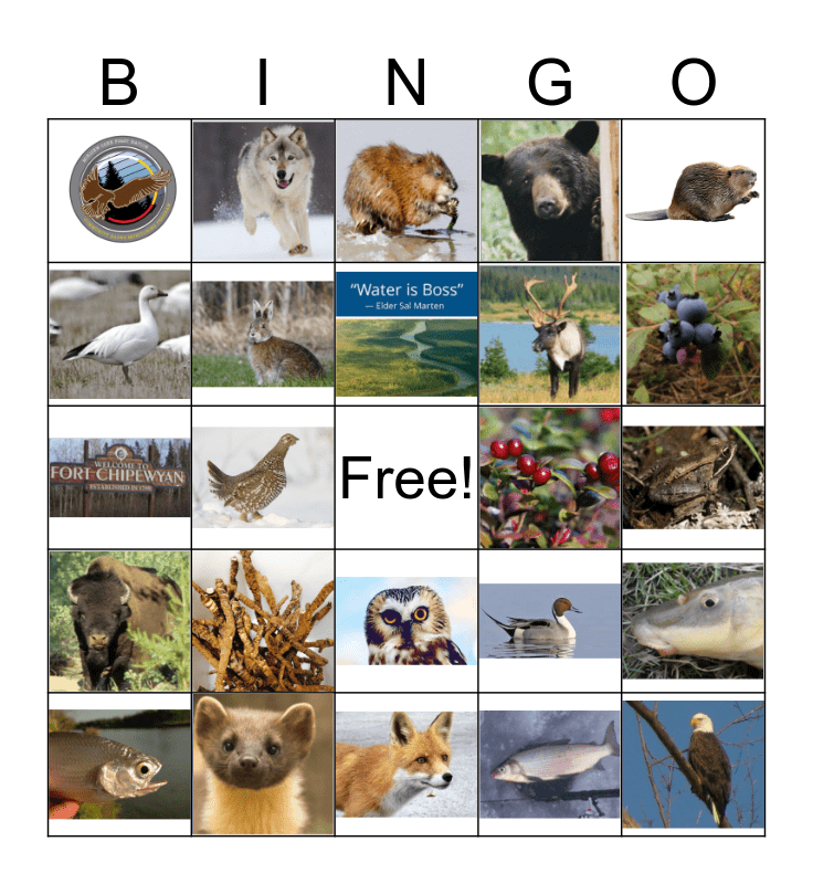 Bush Bingo Card