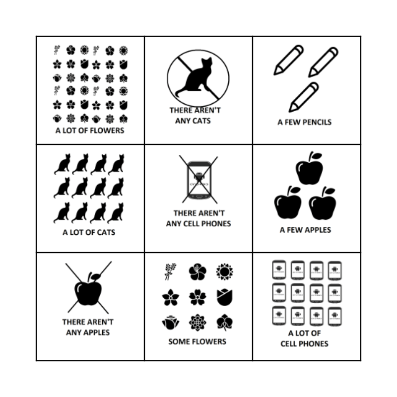 QUANTIFIERS Bingo Card