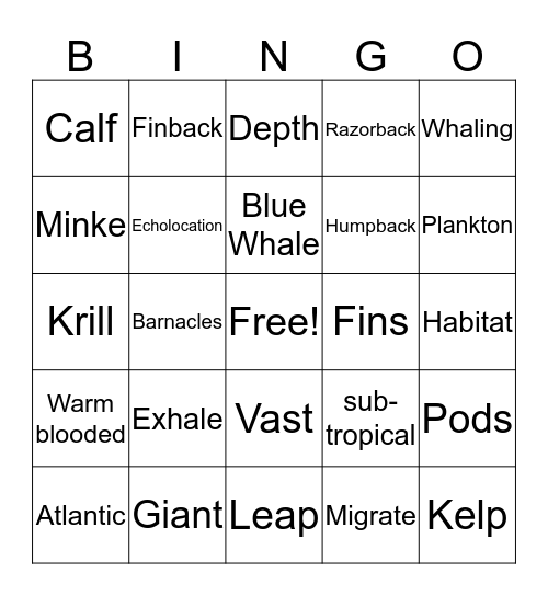 Whales Bingo Card