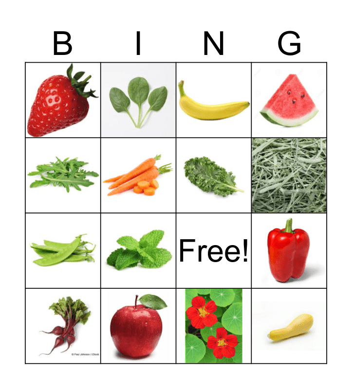 Bunny Bingo Card