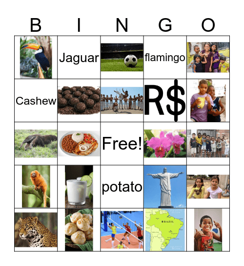 Brazilian Things Bingo Card