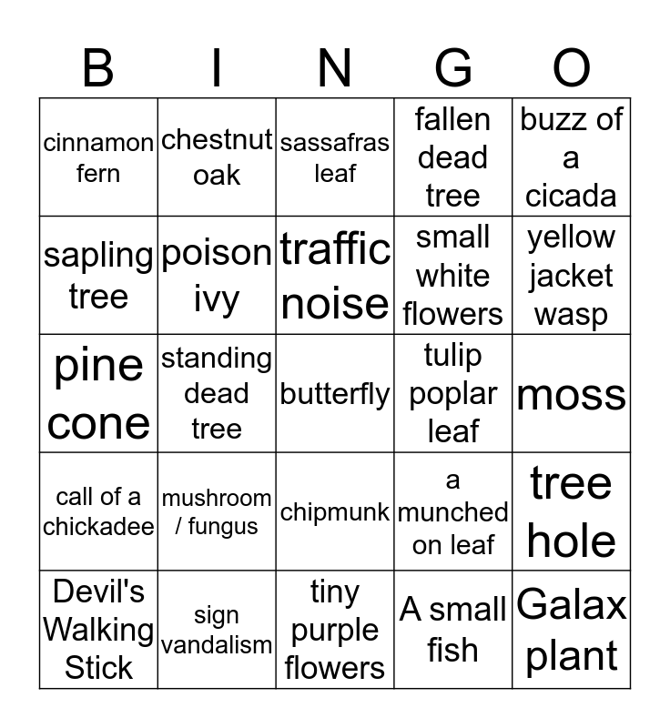 College Creek Trail Bingo! Bingo Card