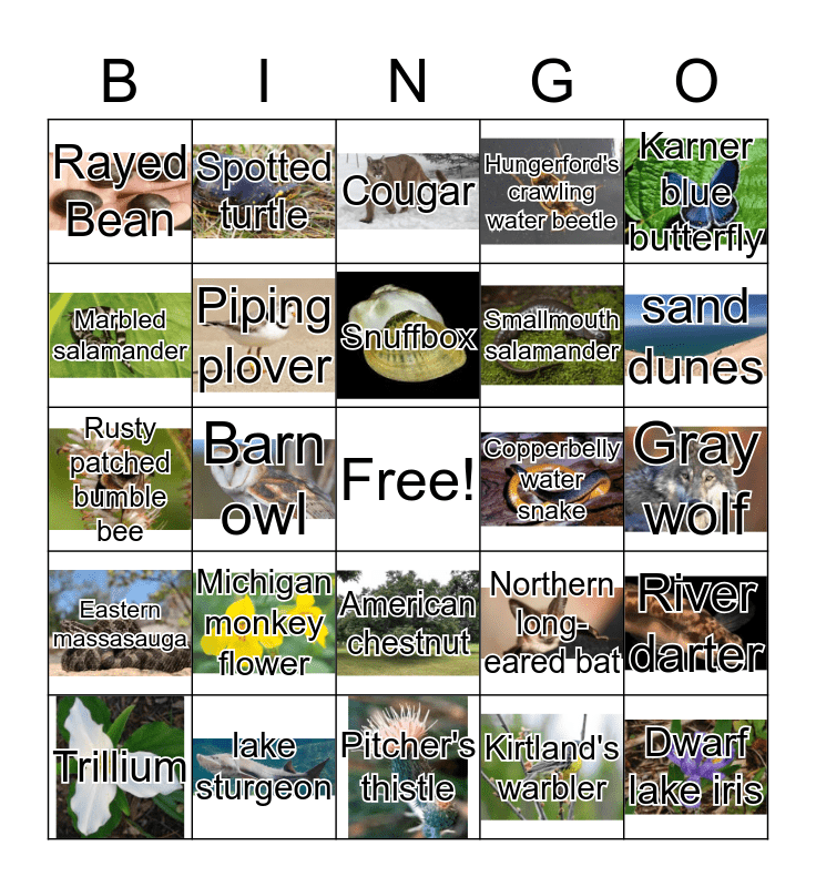 Restoration Bingo Card