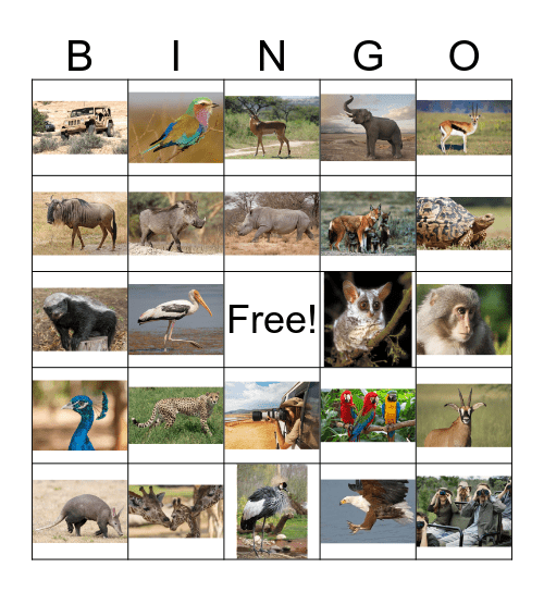Safari Bingo! Bingo Card
