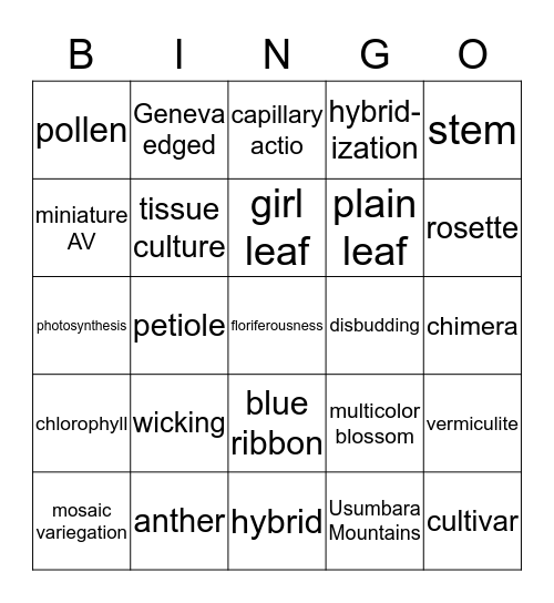 African Violets & Other Gesneriads Bingo Card