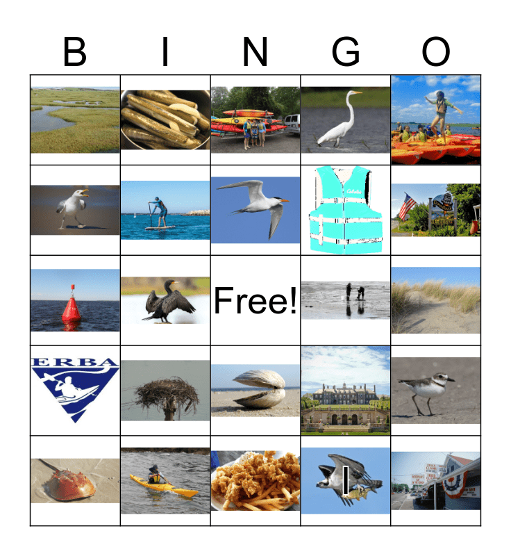 Salt Marsh Bingo Card