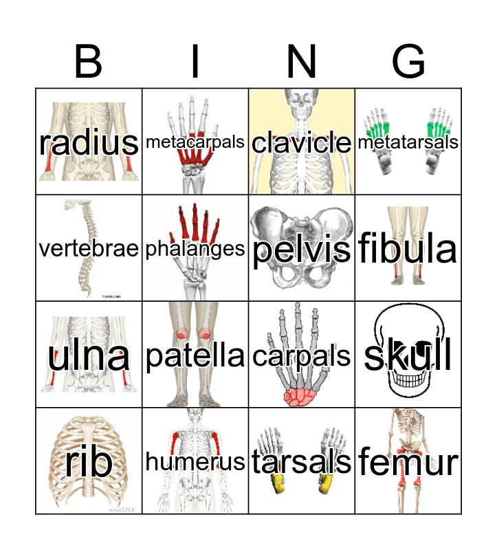 Skeleton Bingo Card