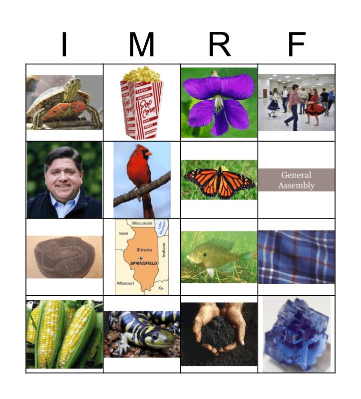 ILLINOIS BINGO Card