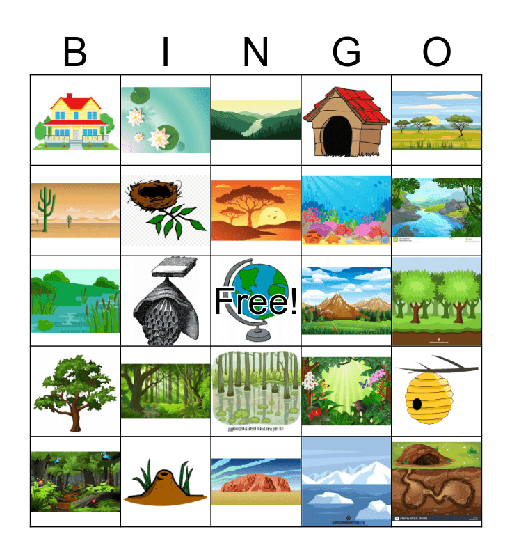 Animal Habitat BINGO Card