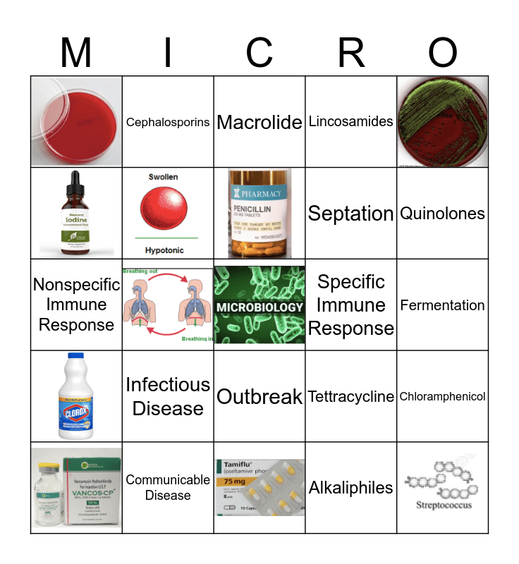 Microbiology Bingo Bingo Card