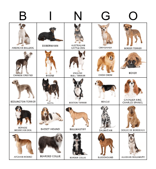 DOGS Bingo Card
