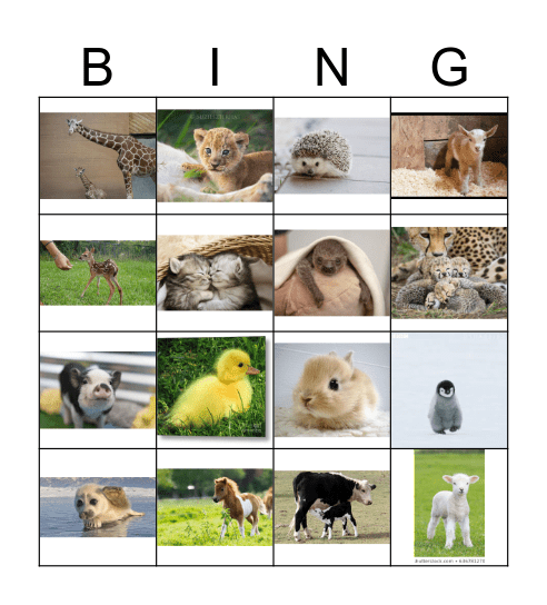 baby animals Bingo Card