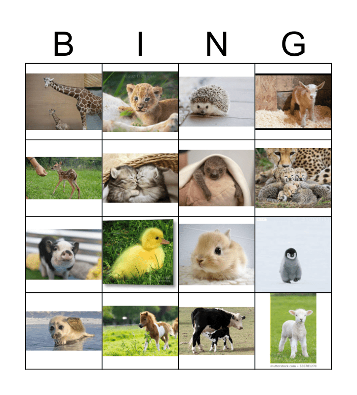 baby animals Bingo Card