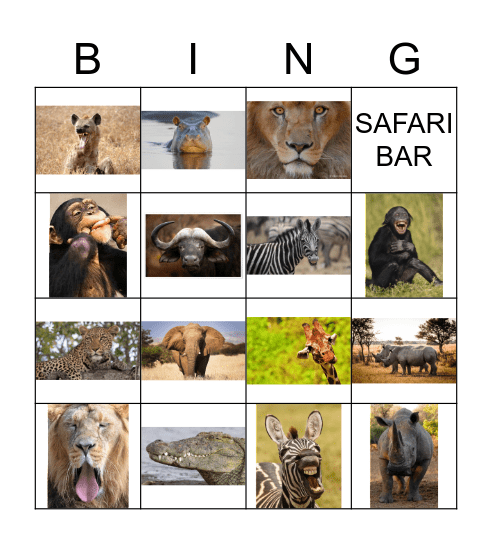 SAFARI BINGO Card