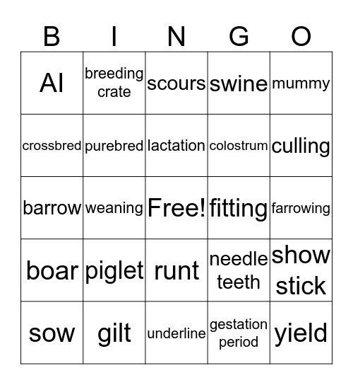 Swine Bingo Card
