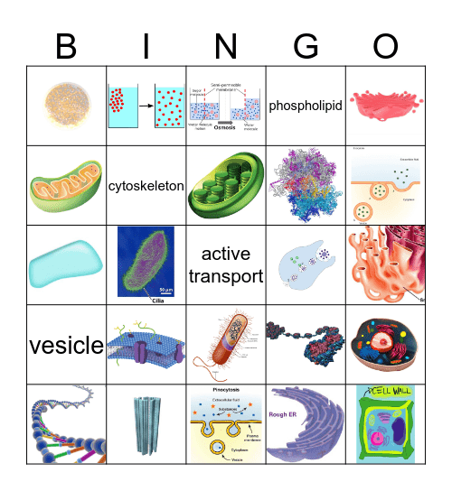 Cell Bingo Card