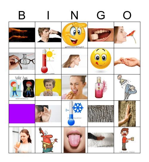 Five senses Bingo Card
