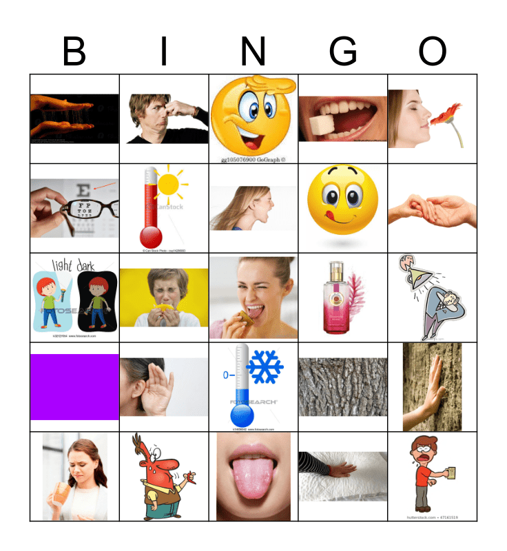 Five senses Bingo Card