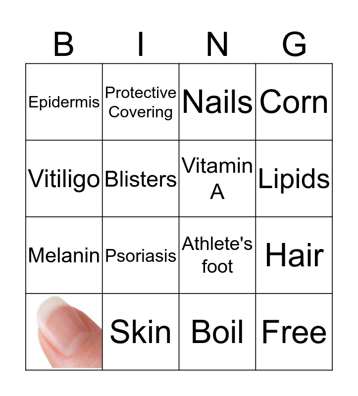 Integumentary System Bingo Card