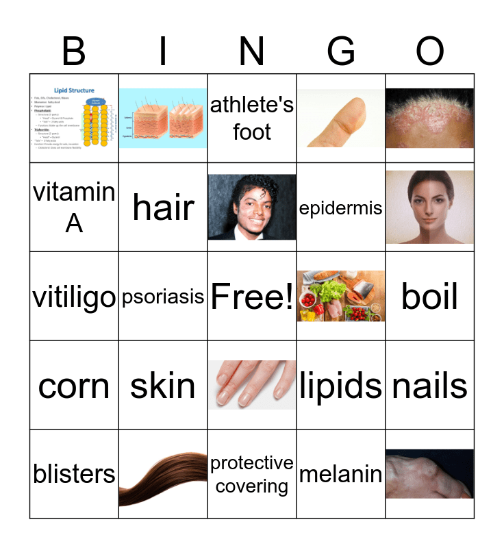 Integumentary System Bingo Card
