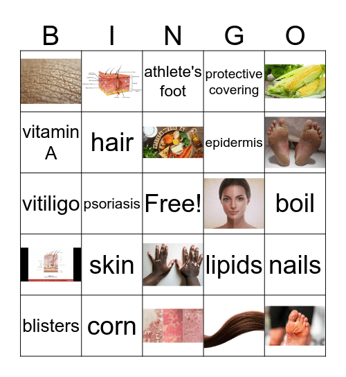 integumentary system Bingo Card
