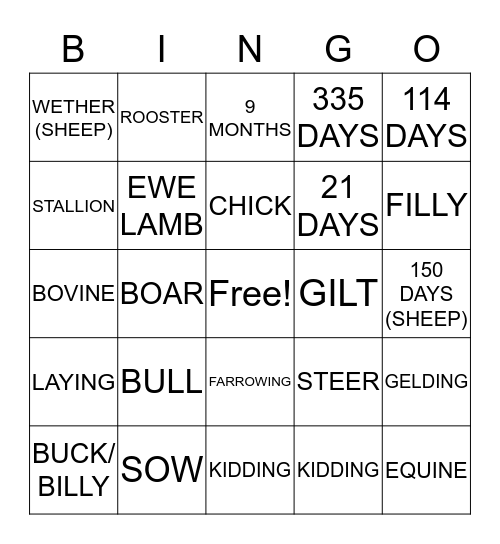 LIVESTOCK TERMINOLOGY BINGO Card