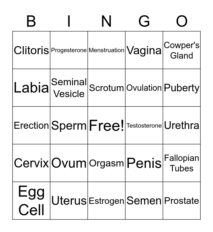 Male/Female Vocabulary Bingo Card