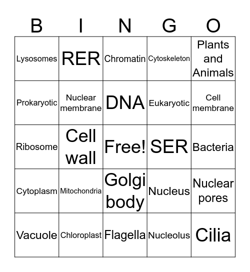 Cell Organelles Bingo Card