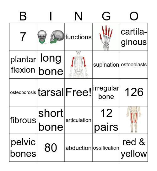 Skeletal System Bingo Card
