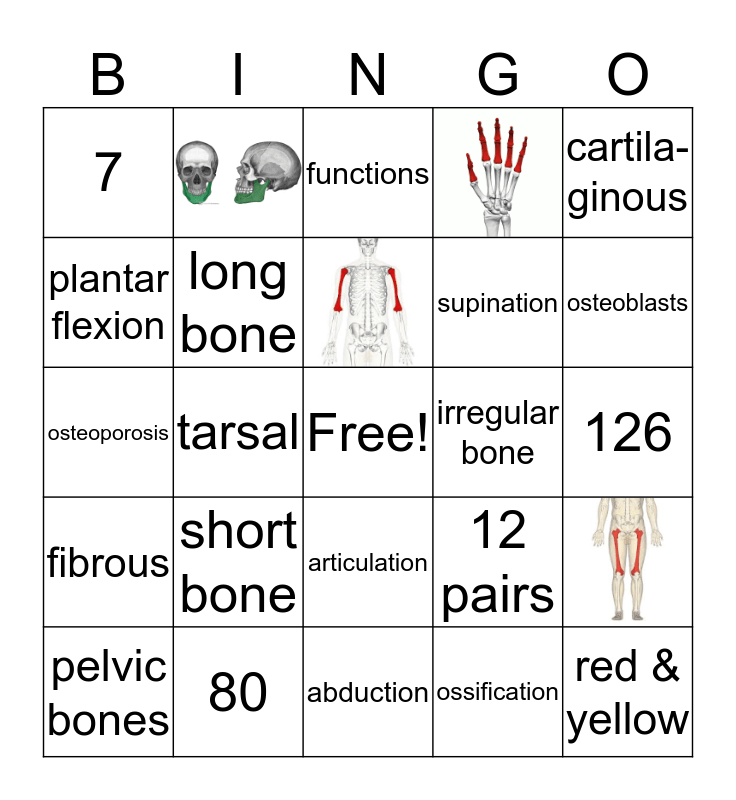 Skeletal System Bingo Card