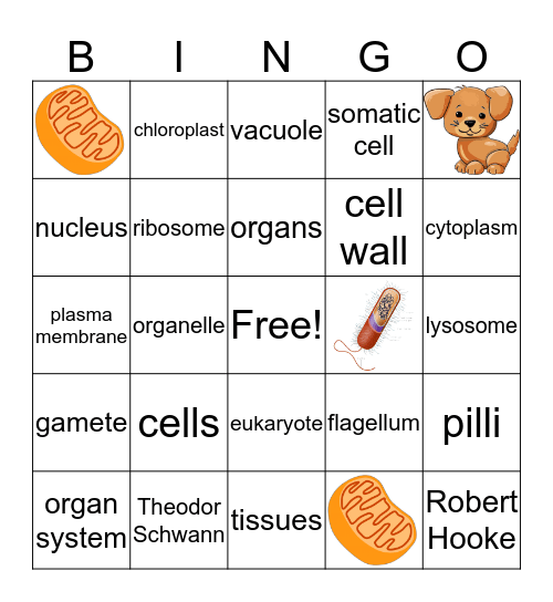 Cells and Organelles Bingo Card