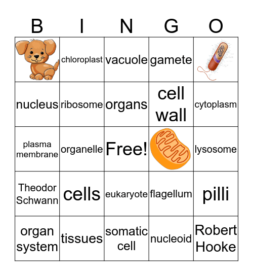 Cells and Organelles Bingo Card