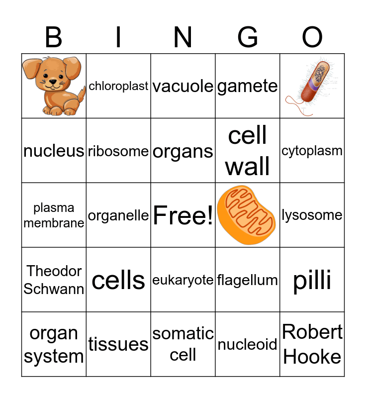 Cells and Organelles Bingo Card