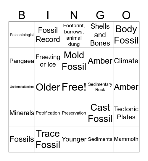 Fossils Bingo Card