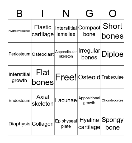 Chapter 6 Bones Bingo Card