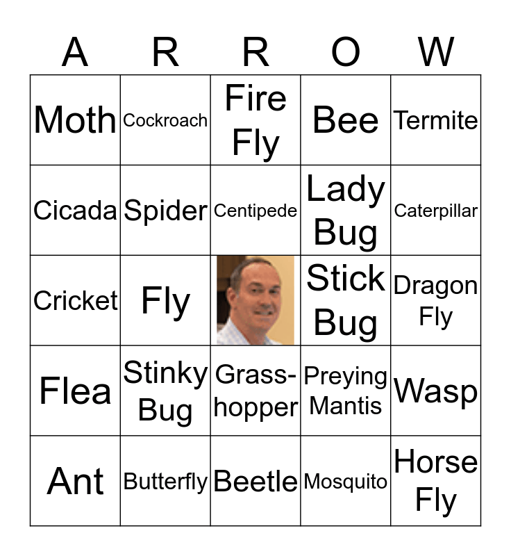 ARROW BUG BINGO Card